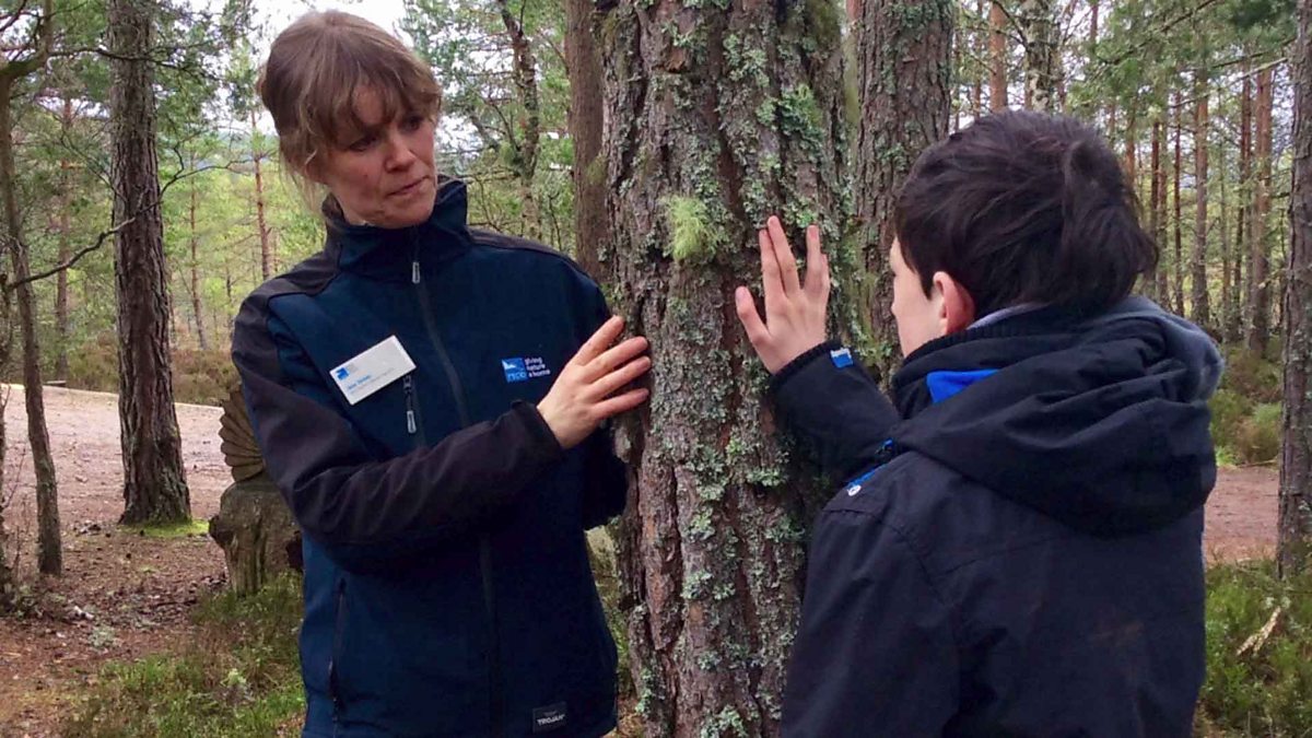 BBC Scotland - The L.A.B Scotland, Tree Stories, Scots Pine