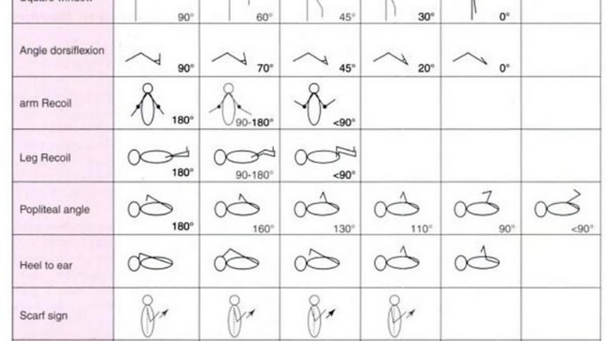 BBC Radio 4 - Last Word, Gareth Gwenlan, Sir Harry Kroto, Michael ...