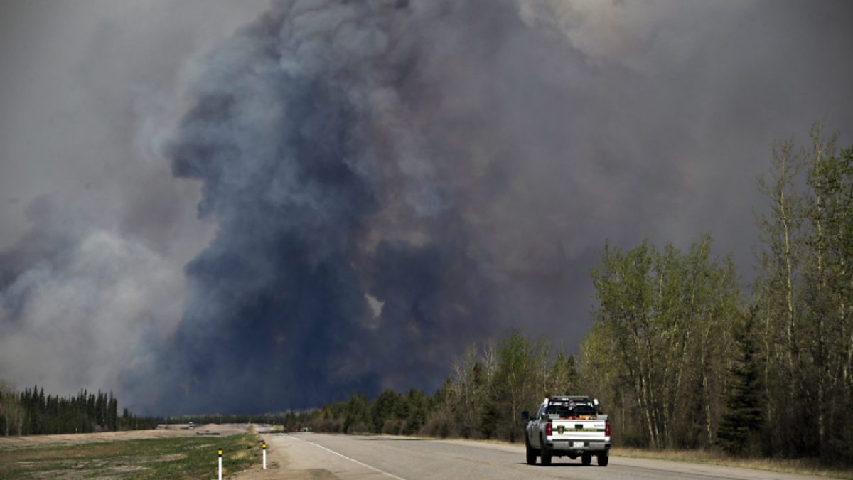 BBC World Service - The Newsroom, 'The smoke was so thick I couldn't ...