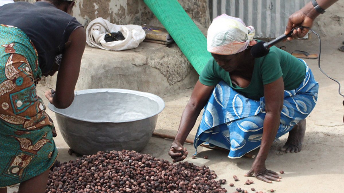 BBC World Service - The Documentary, Shea Gold