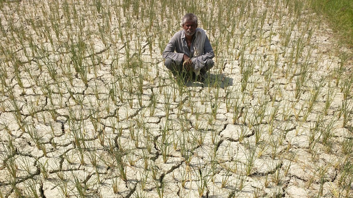 BBC World Service - The Fifth Floor, Parched Lands and Parched Lives