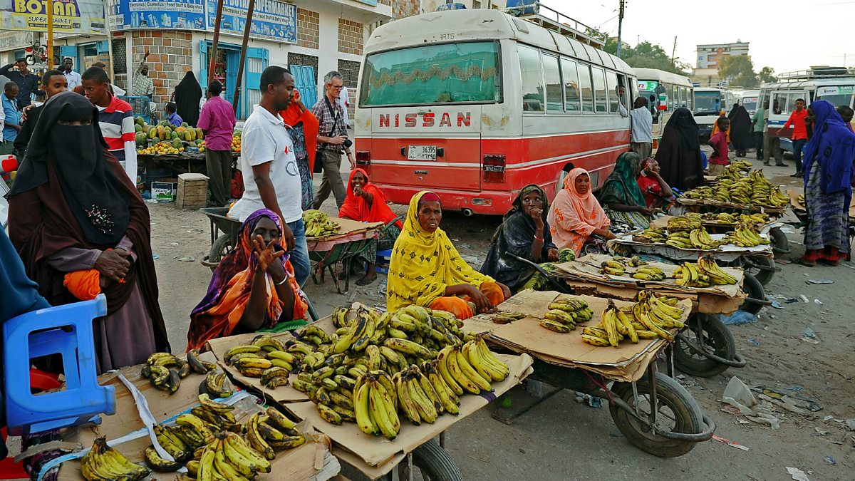 BBC World Service - Boston Calling, Fight or Flight, Why a banana photo ...