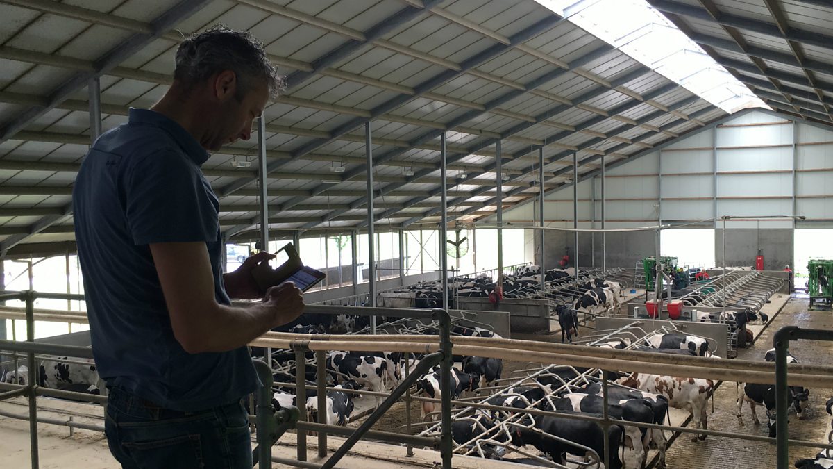 BBC World Service - The Food Chain, Extreme Farming, The farm run by robots