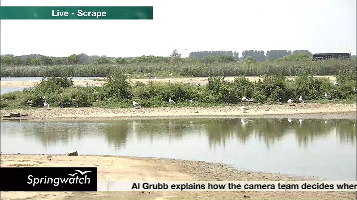BBC Two - Springwatch, 2016, How do we set up our remote cameras?