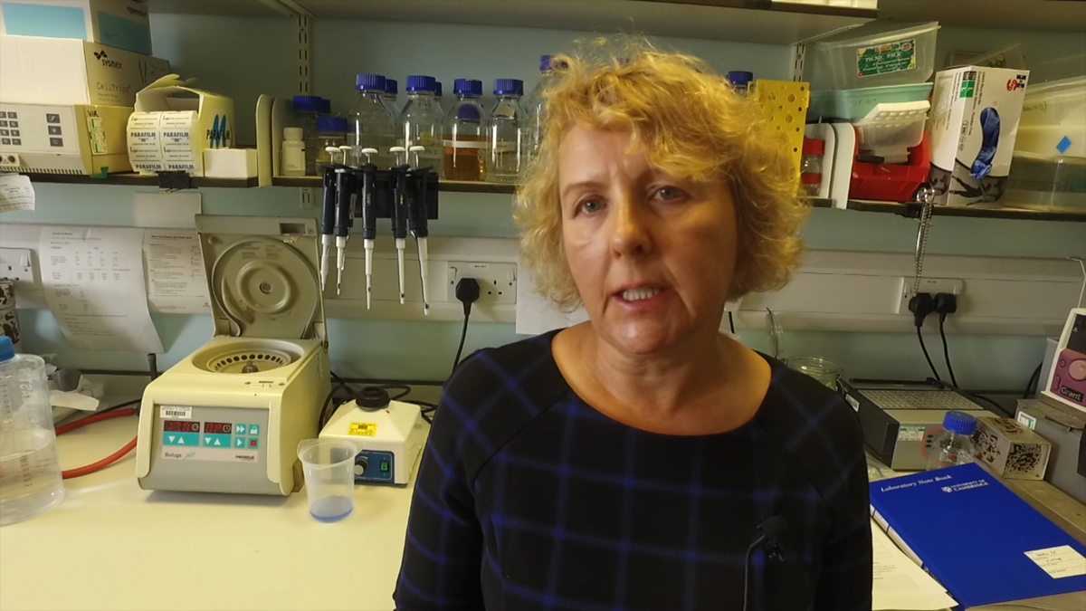 BBC Radio 5 Live - 5 Live In Short, Pathologist: How I am able to work ...