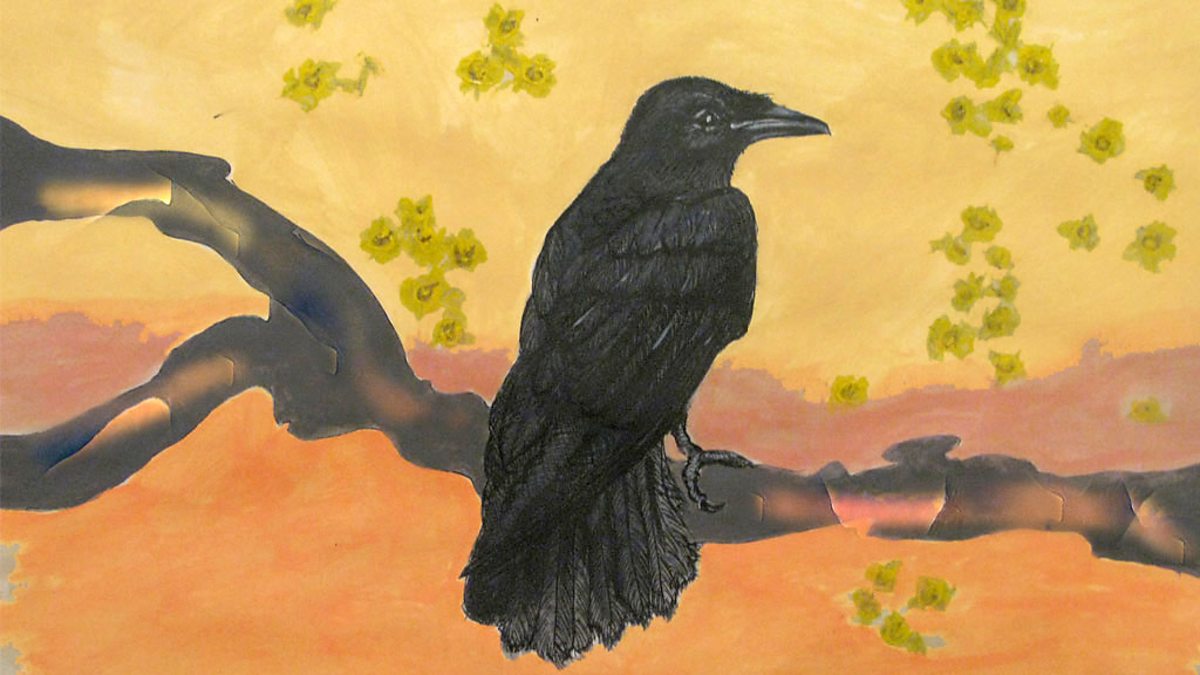 CBeebies Radio - Little Robin Meets..., Crow, Little Robin Meets… Crow