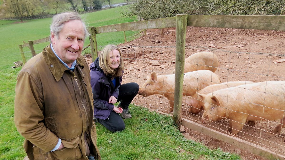BBC Radio 4 - On Your Farm, Getting a Start in Farming