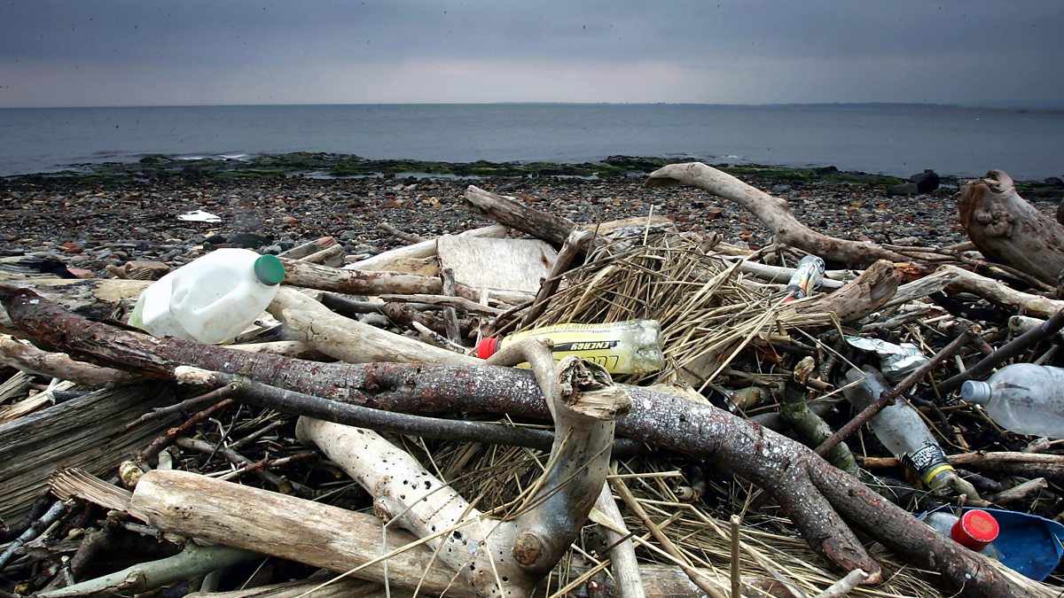 BBC World Service - Discovery, Cleaning Up the Oceans