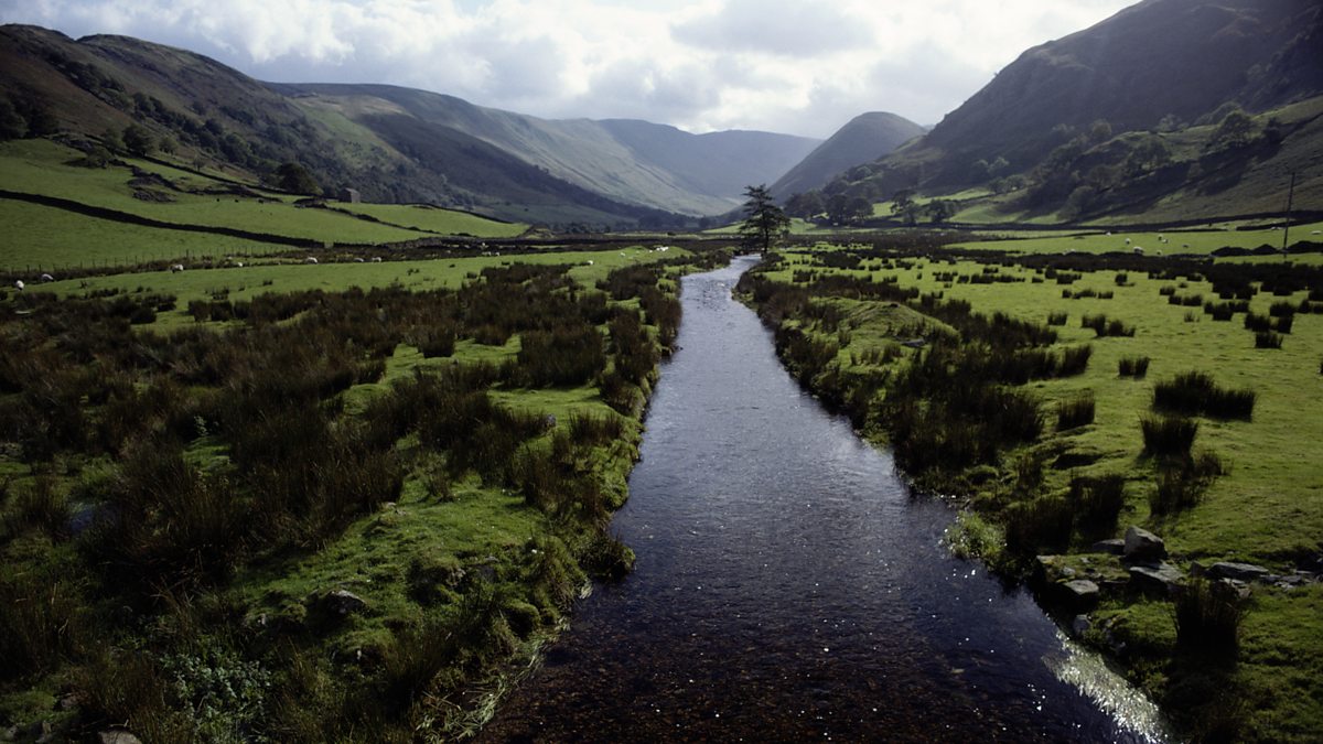 6 BBC broadcasts that will transport you deep into the tranquility of ...