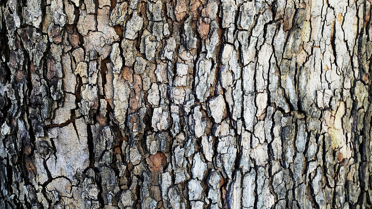 BBC Radio 3 - BBC Proms, 2016, Proms at...Sam Wanamaker Playhouse ...