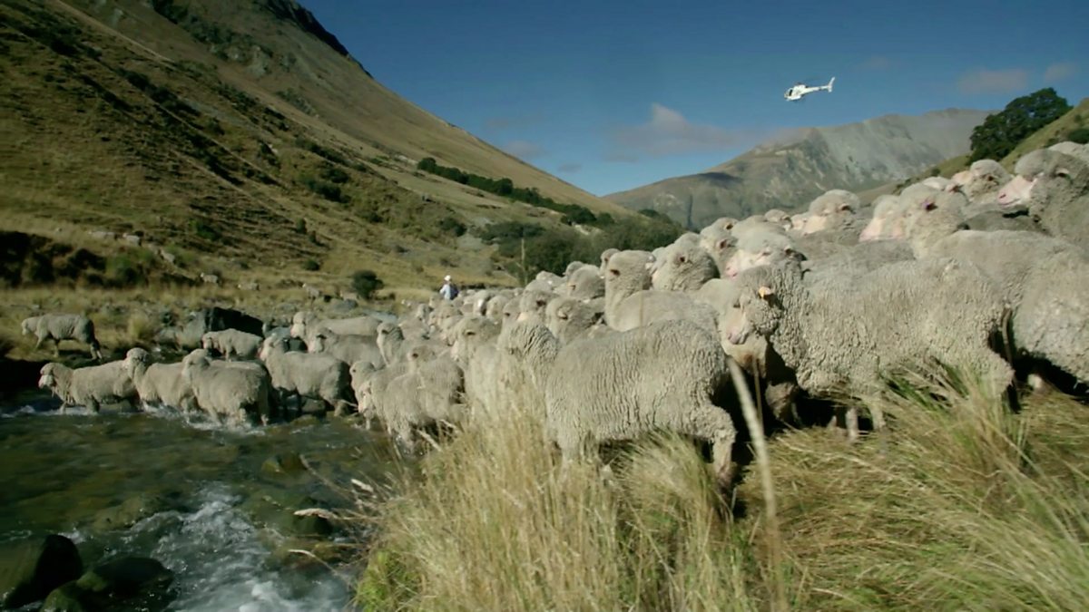 BBC Two - New Zealand: Earth's Mythical Islands, Cast Adrift, Extreme ...