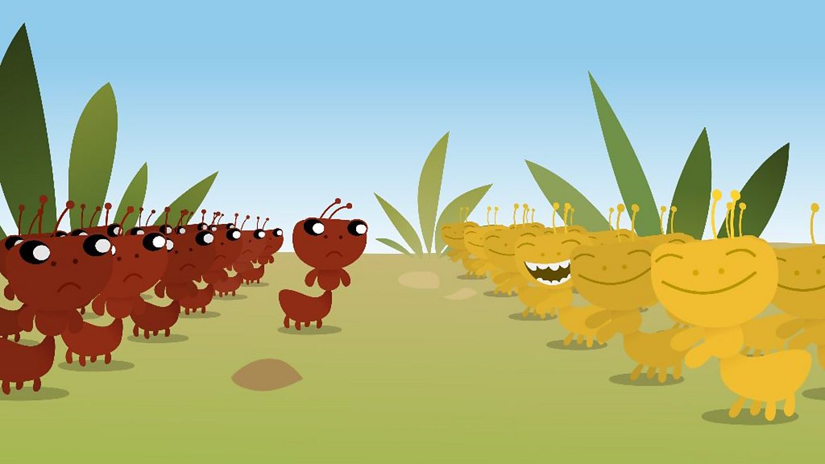 S4C - Drewgi, Buddugoliaethau Bach