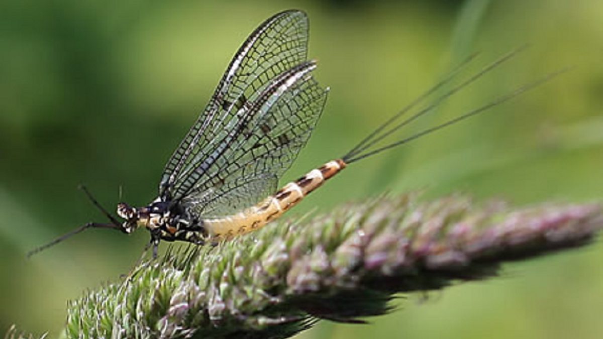 BBC World Service - The Essential, From Our Own Correspondent: Time of ...