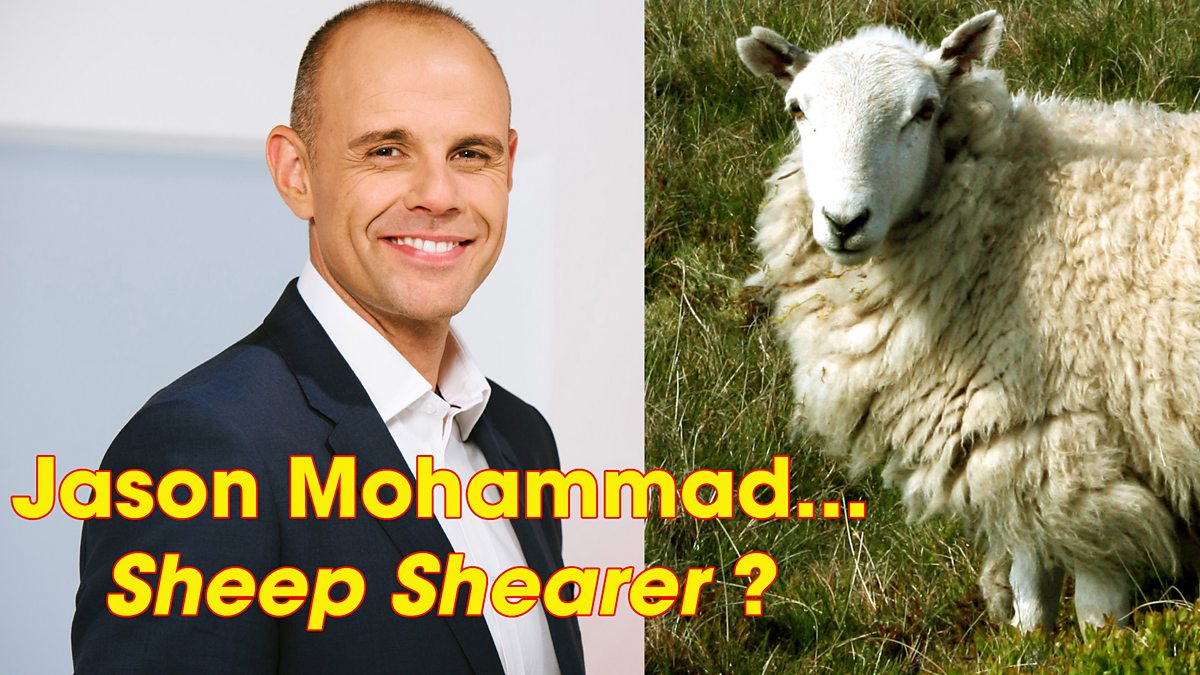 BBC Radio Wales - Jason Mohammad, 21/07/2016, Jason Mohammad: Sheep Shearer