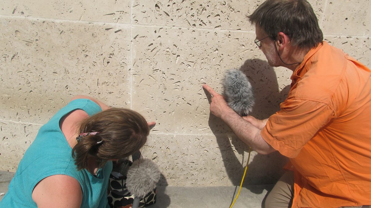 BBC World Service - Science In Action, A geological tour of London ...