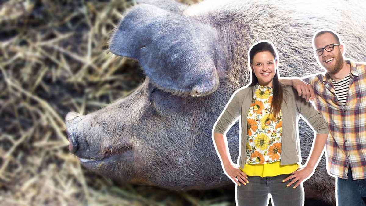 CBeebies Radio - My Pet And Me, Pigs, Pigs