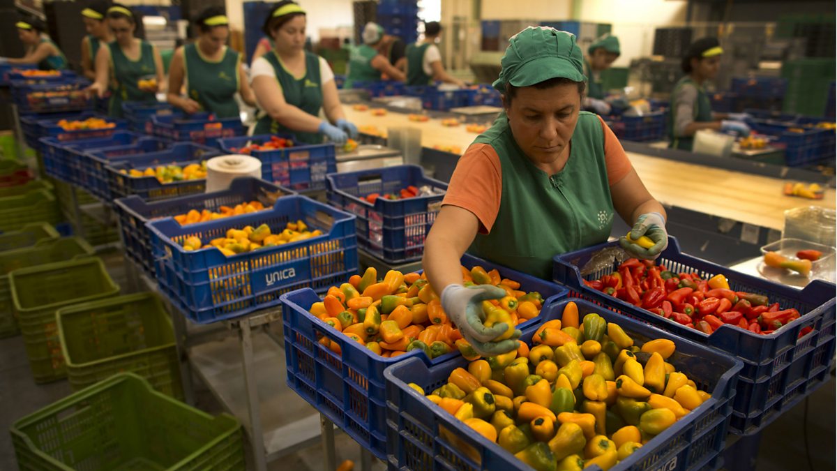 BBC World Service - The Food Chain, Food on the Move: What We Want ...