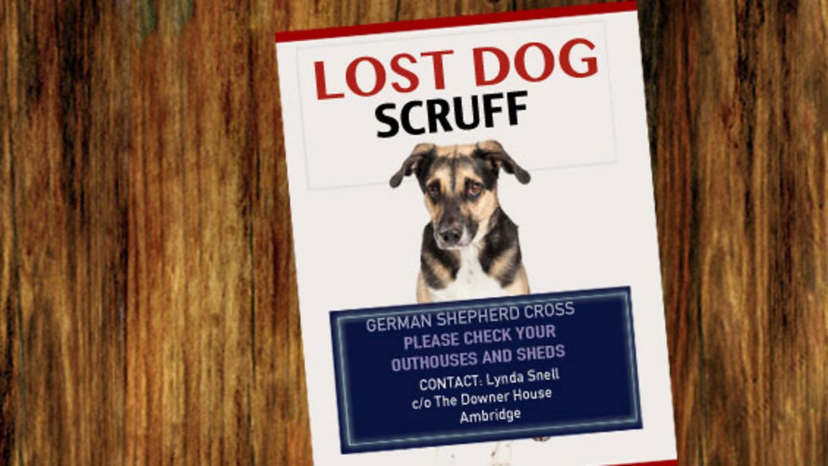 BBC Blogs - The Archers - The life of Scruff the dog