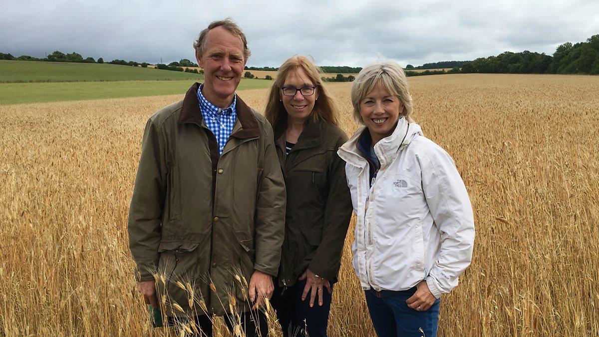 BBC Radio 4 - On Your Farm, Rare and Ancient Cereals