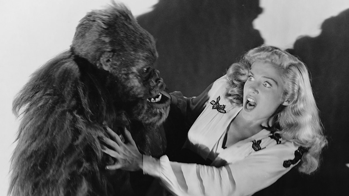 BBC World Service - The Why Factor, Fear of Animals, What's it like to ...