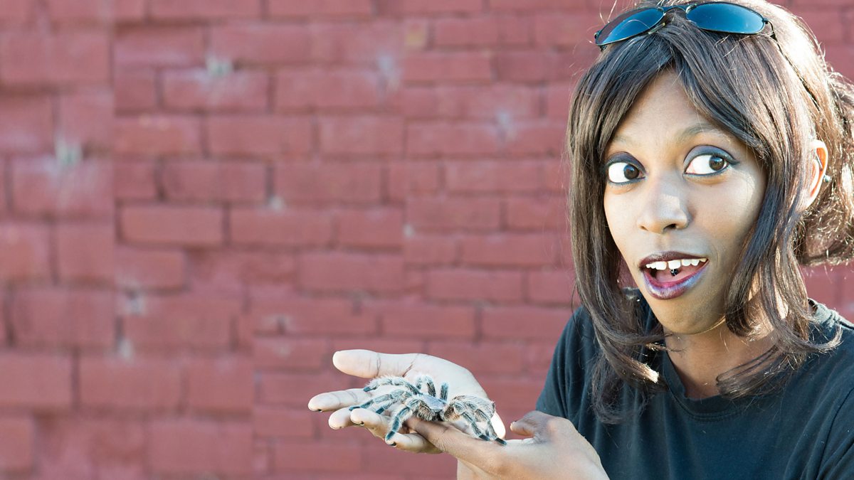 BBC World Service - The Why Factor, Fear of Animals, Why do we have ...