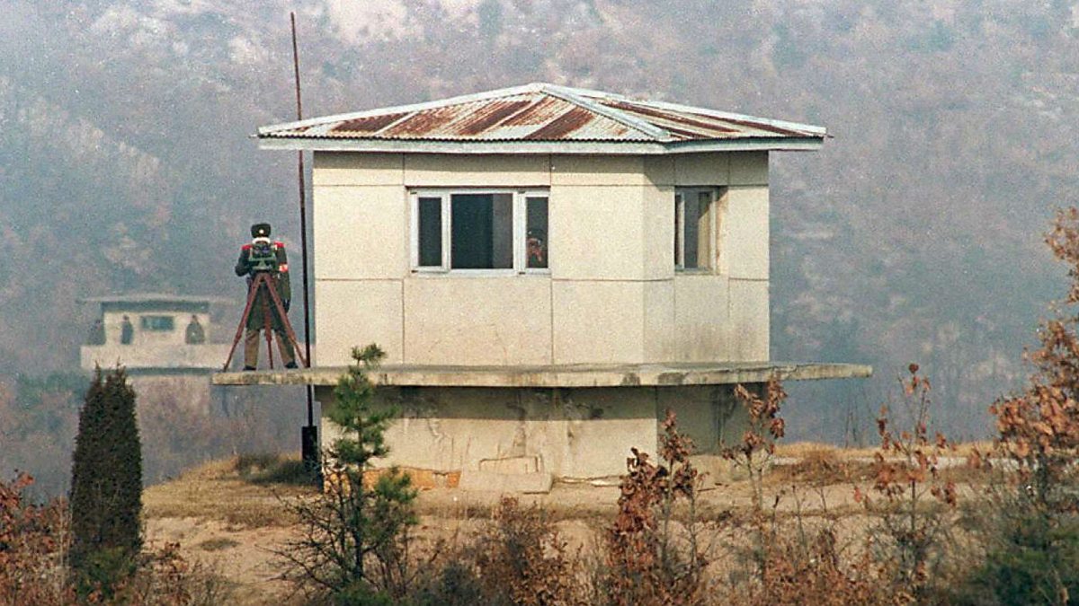 BBC World Service - Witness History, Conflict over a Tree in the DMZ