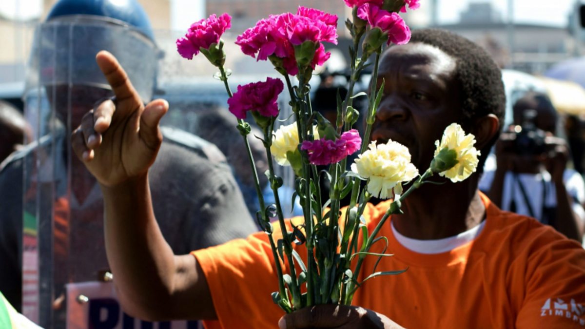 BBC Radio 4 - The World Tonight, Zimbabwean police violence is 'kicks ...