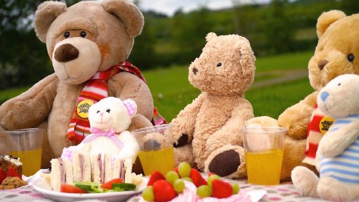 BBC Radio Foyle - The Mark Patterson Show, 24/08/2016, Teddy Bears' Picnic