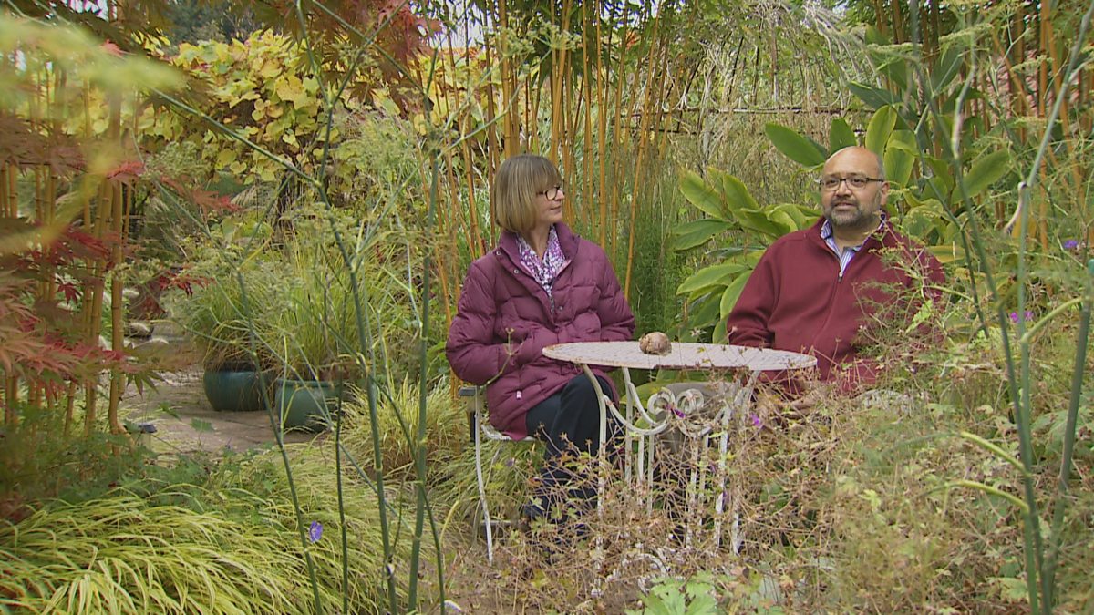 BBC Two - Gardeners' World, 2016, Episode 21, Barn House grasses