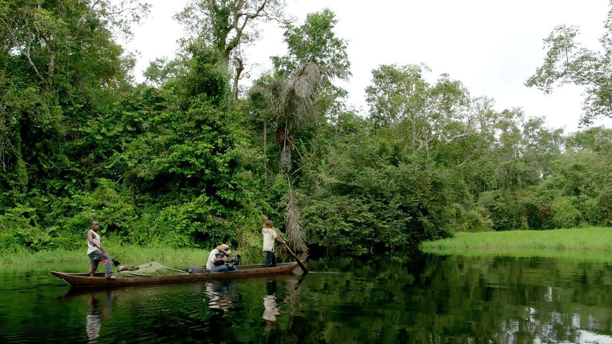 BBC Two - Natural World, 2016-2017, My Congo, Congo’s tranquil waterways