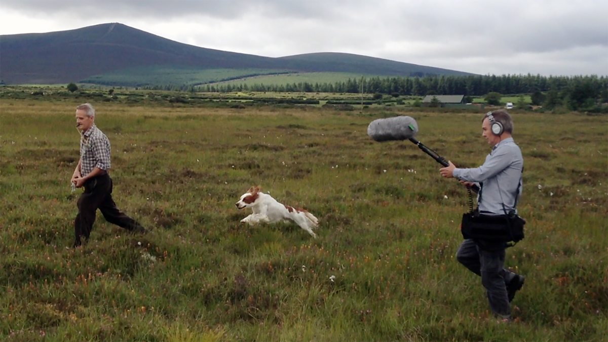 BBC Radio Ulster - Stories in Sound, A Very Noble Breed, Irish Red and ...