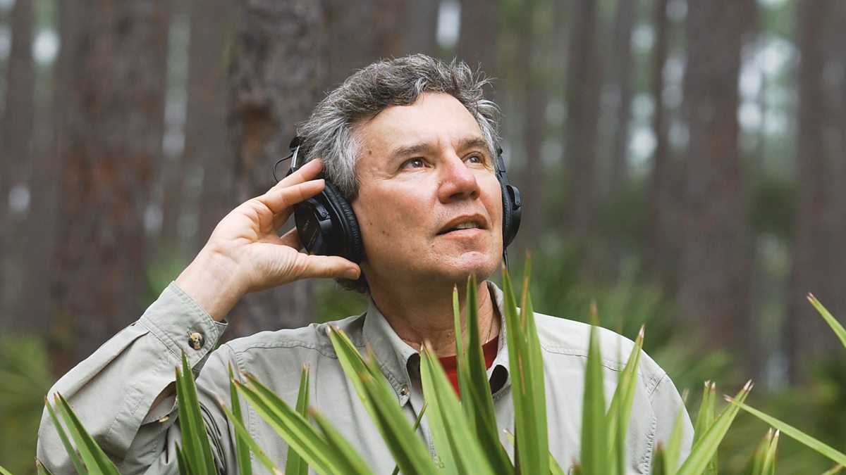 BBC World Service - The Outlook Podcast Archive, Capturing the Sounds ...