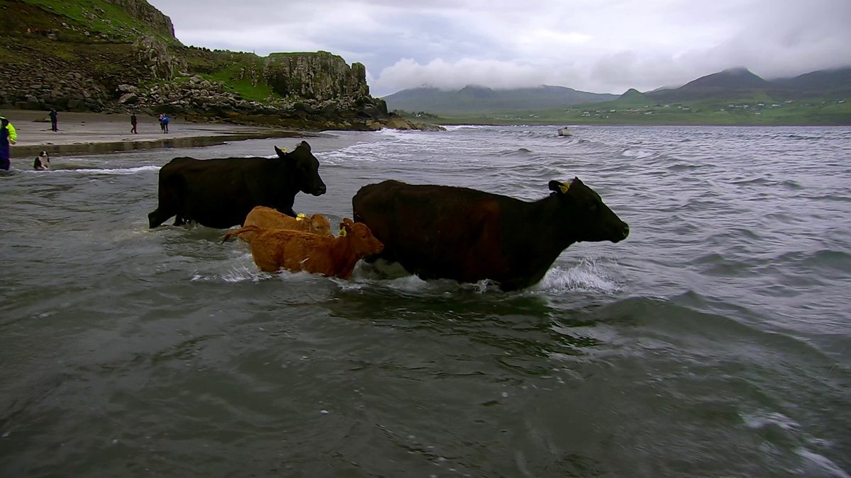 BBC Scotland - Grand Tours of the Scottish Islands, Series 4, Northern ...
