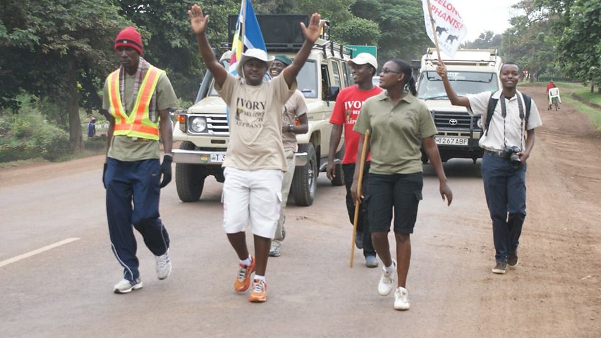 BBC World Service - Newsday, Jumbo walk for elephant champion