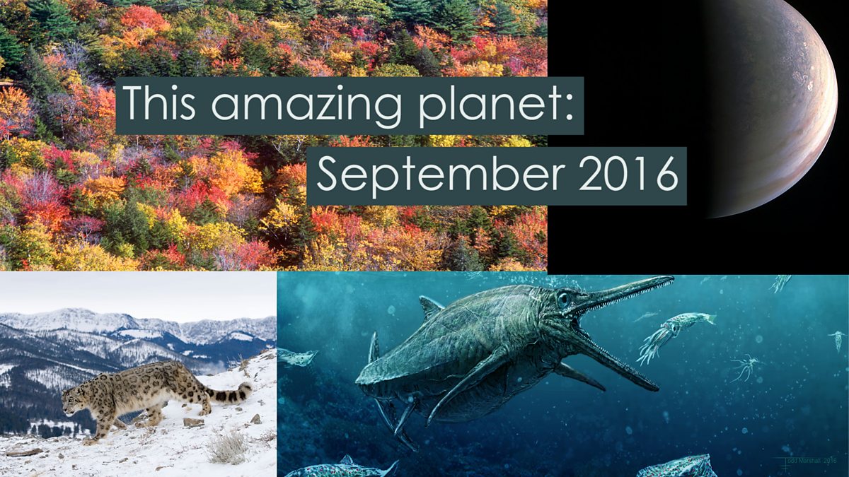 BBC - BBC Earth, This amazing planet in September 2016