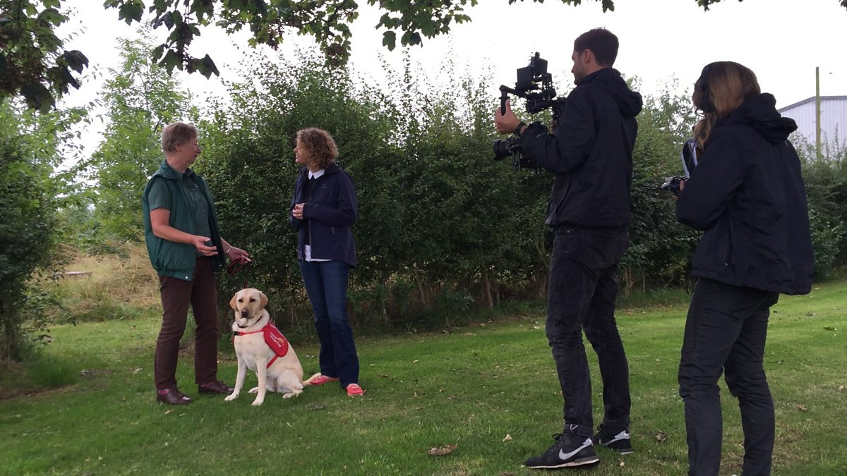 BBC One - Lifeline, Medical Detection Dogs, Behind the scenes - Medical ...