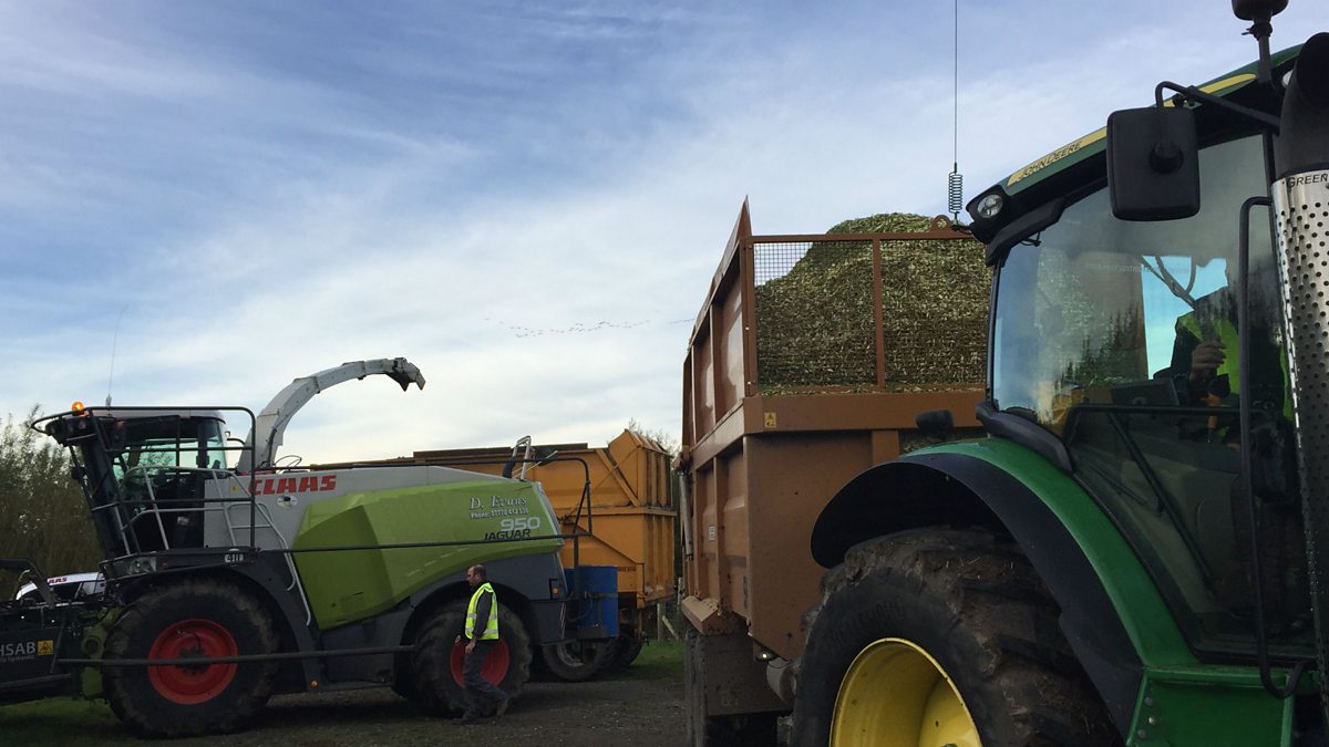BBC Radio Cumbria - Mike Zeller, 03/10/2016, First willow energy ...