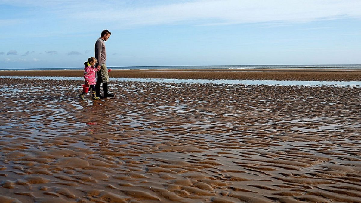 BBC World Service - The Essential, From Our Own Correspondent ...