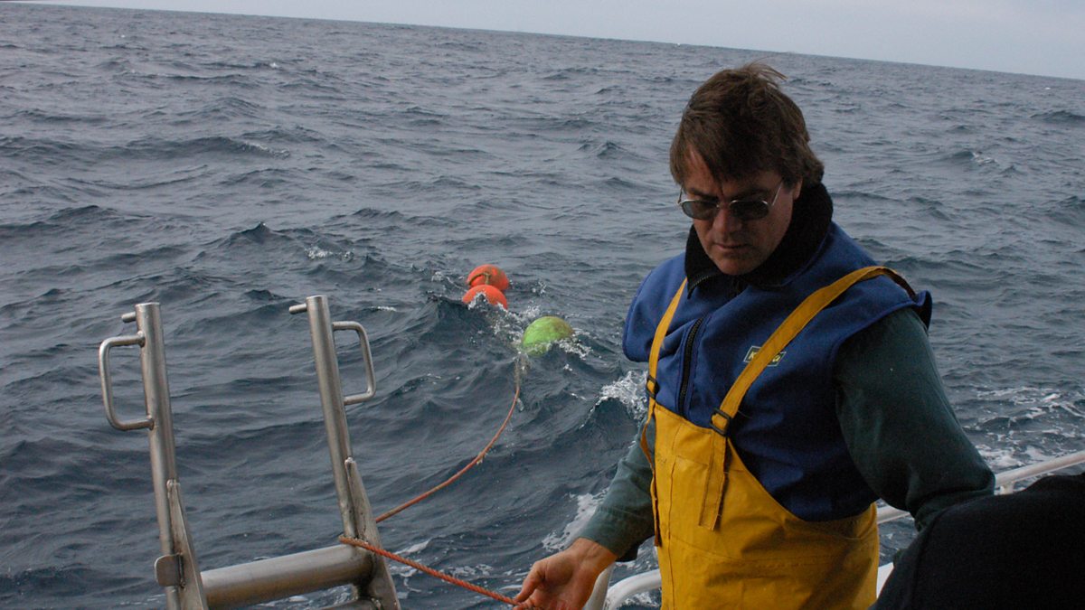 BBC World Service - Outlook, The man who listens to fish sing