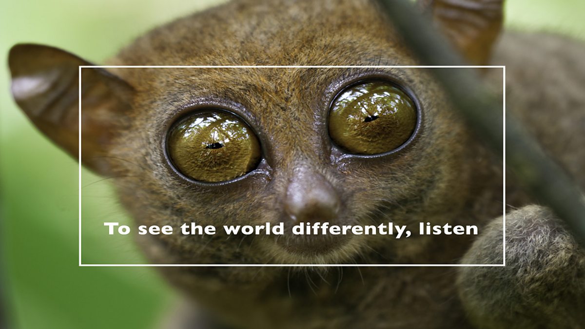 BBC - To see the world differently, listen.