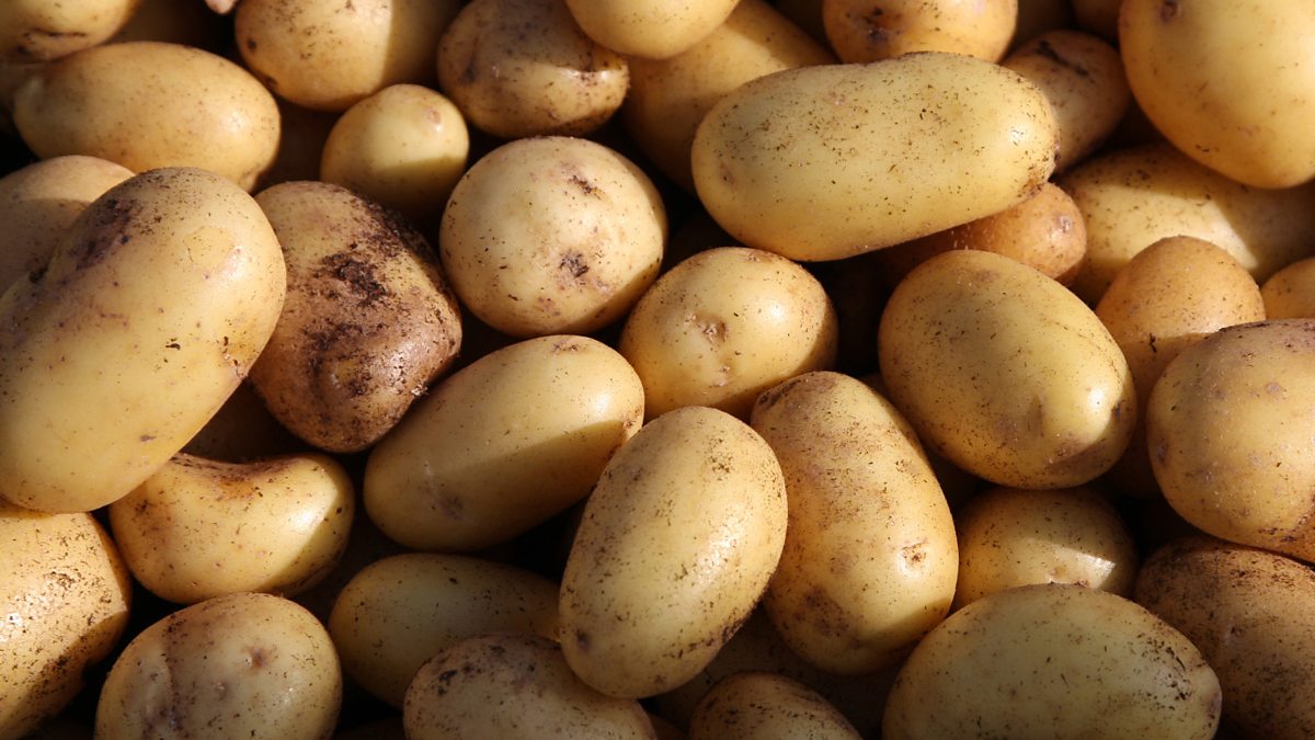 BBC Radio 4 - Radio 4 in Four - The Top Spud Quiz