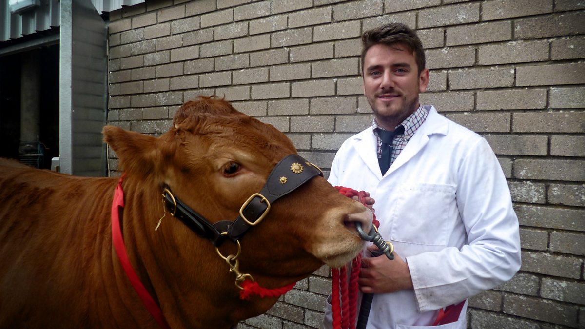 BBC One - Anglesey: Island Life, Series 1, Anglesey: Island Life - Lord ...