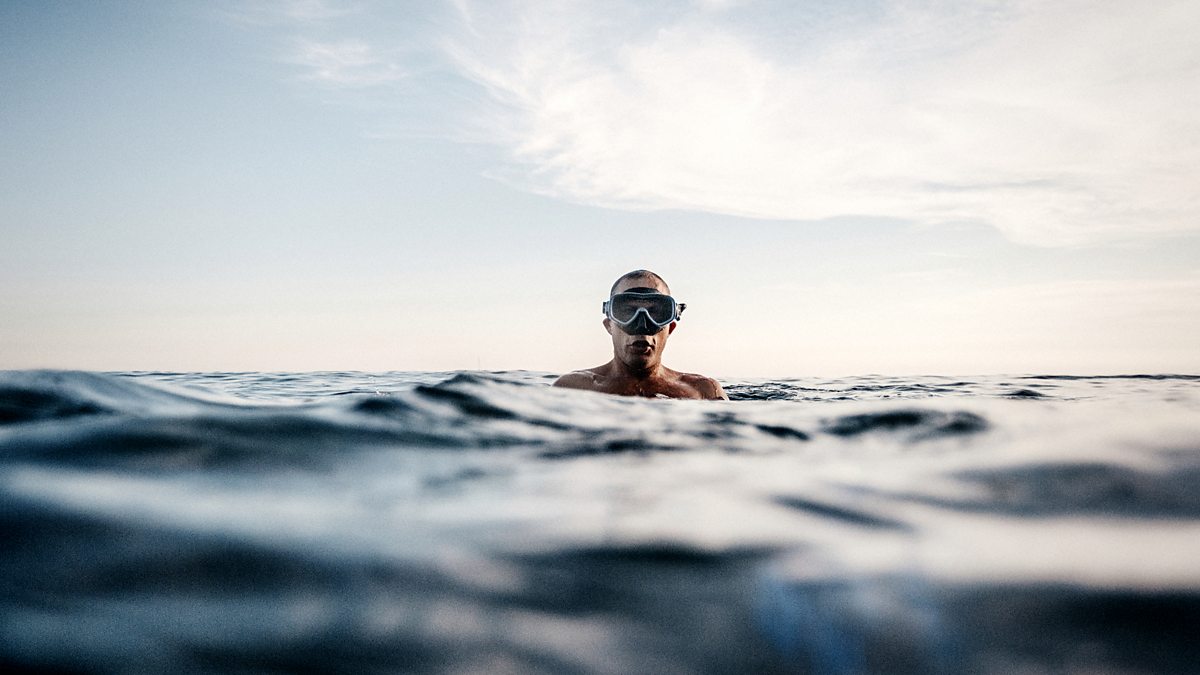 BBC Radio 4 - Everything We've Ever Known About... - Nine fascinating ...