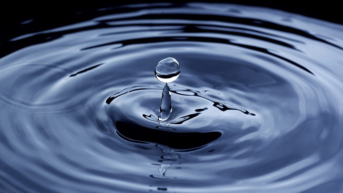 BBC Radio 4 - Everything We've Ever Known About..., Gravity