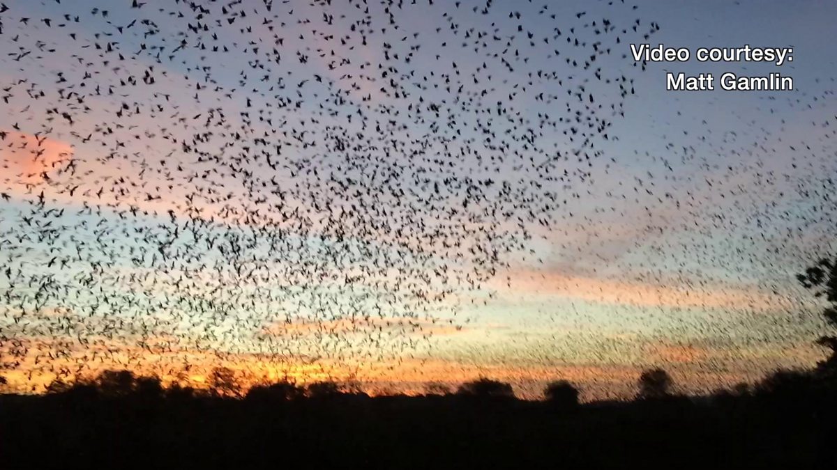 BBC Radio Somerset - Claire Carter on BBC Radio Somerset, 14/11/2016 ...