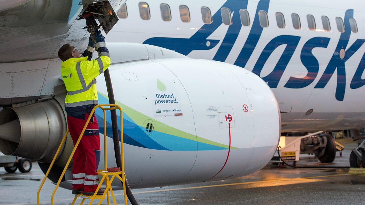 BBC World Service - Newsday, The plane powered by waste wood