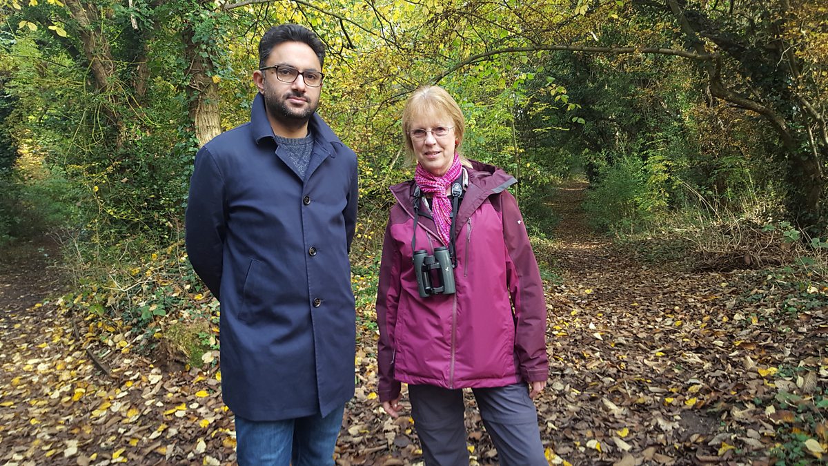 BBC Radio 4 - Open Country, Sathnam Sanghera goes home to Wolverhampton