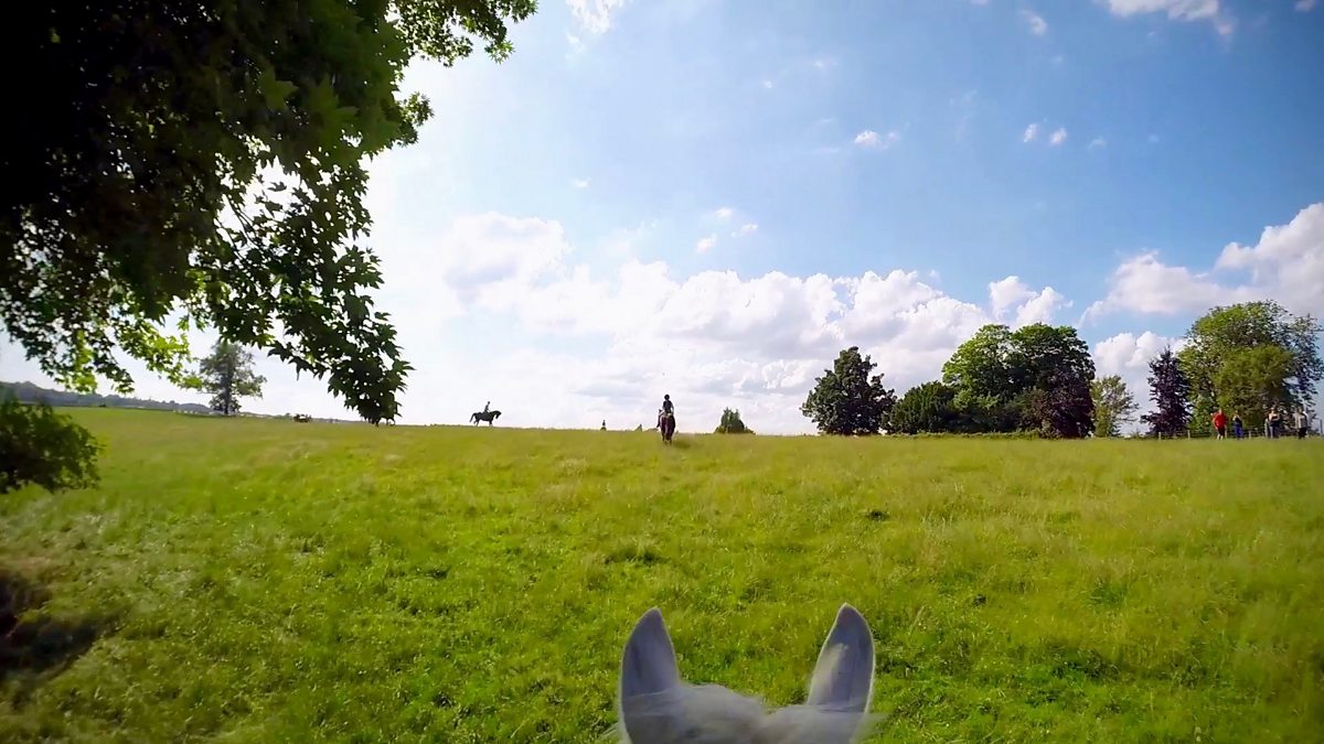 BBC Scotland - The River, Episode 5, It's the common riding season and ...