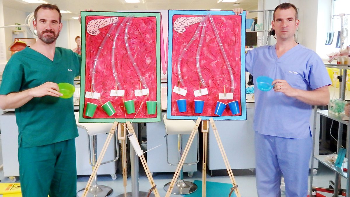Operation Ouch Series 5 9 Pancreas Power Bbc Iplayer