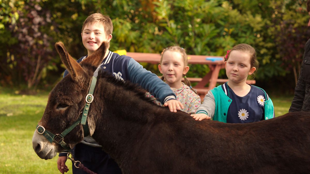 The Dumping Ground - Series 4: 20. Two for Joy - BBC iPlayer
